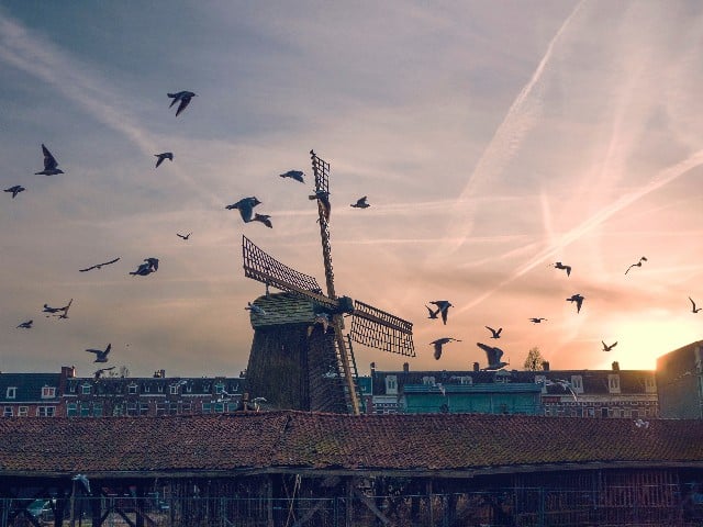 B in Antwerp - Best stays in Antwerp, Belgium - Skiplagged