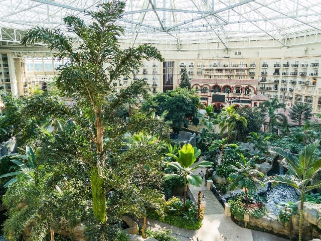 Embassy Suites By Hilton Orlando/Lake Buena Vista Resort - Best stays ...